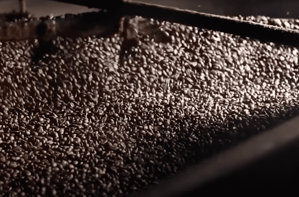 How Instant Coffee Is Made in a Factory: From Cherry to Cup